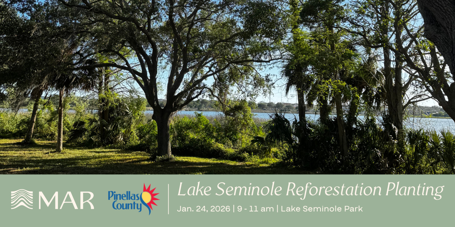 Lake Seminole Reforestation Planting - wearemar.org